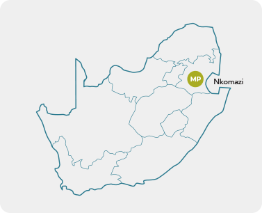 Our Projects - Community Development Initiatives - Do More Foundation