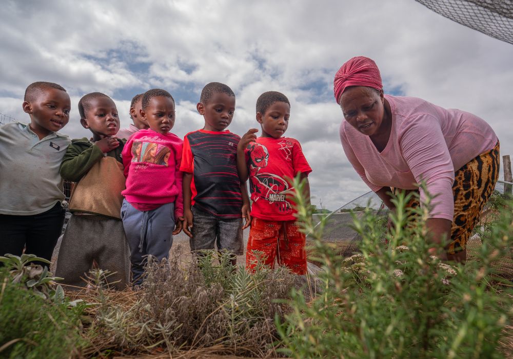 PEP Stores: A Partnership that Cares for Children and the Climate - Do ...