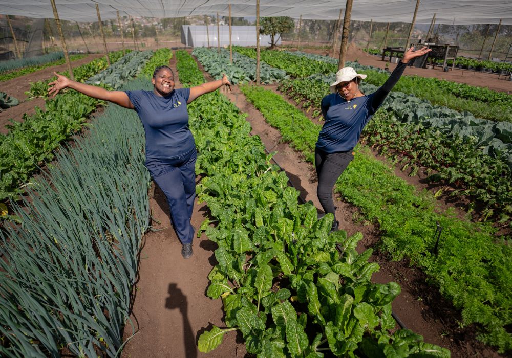 PEP Stores: A Partnership that Cares for Children and the Climate - Do ...